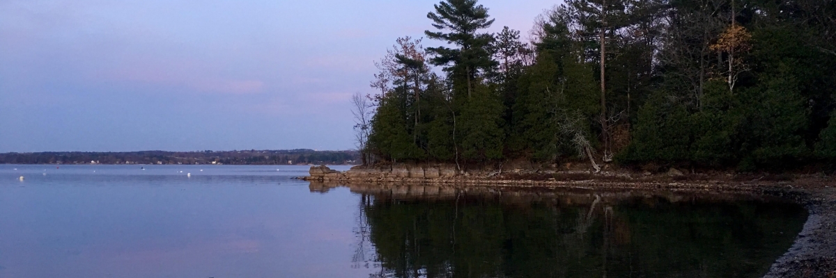 Young Writers Project