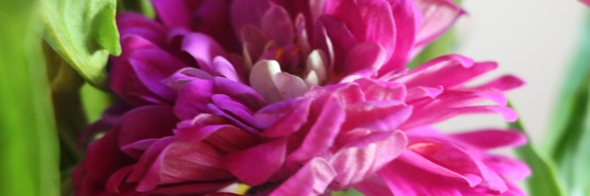 Young Writers Project