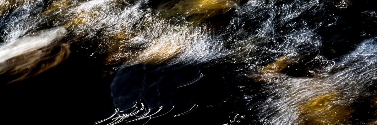 Young Writers Project