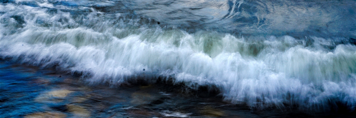 Young Writers Project