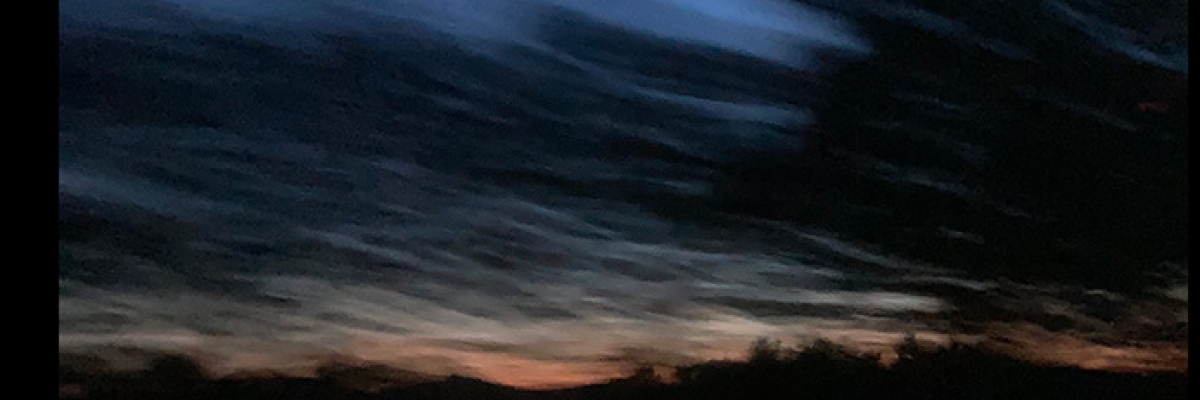 Young Writers Project