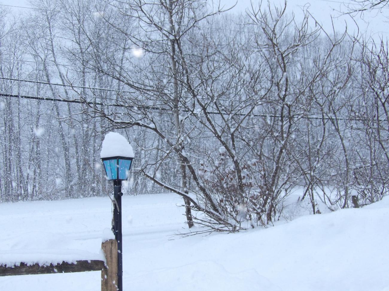 Flurries | Young Writers Project