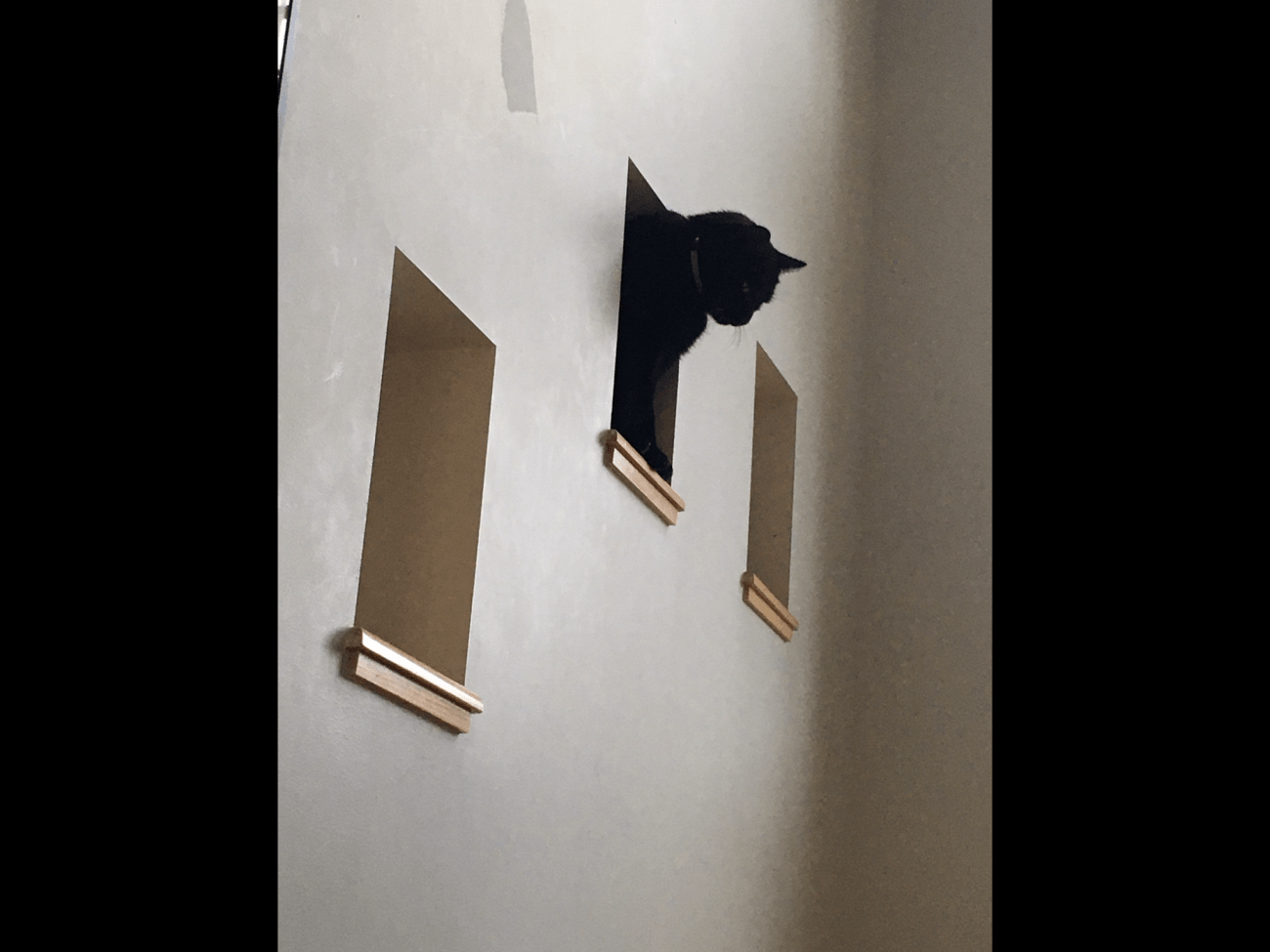 Escher Cat | Young Writers Project