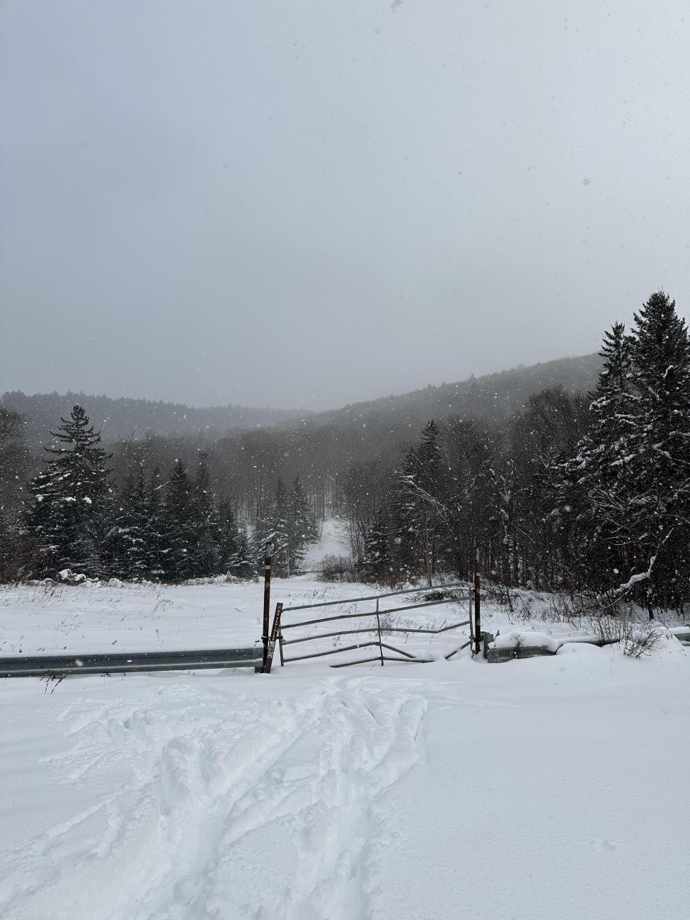 The crooked gate | Young Writers Project