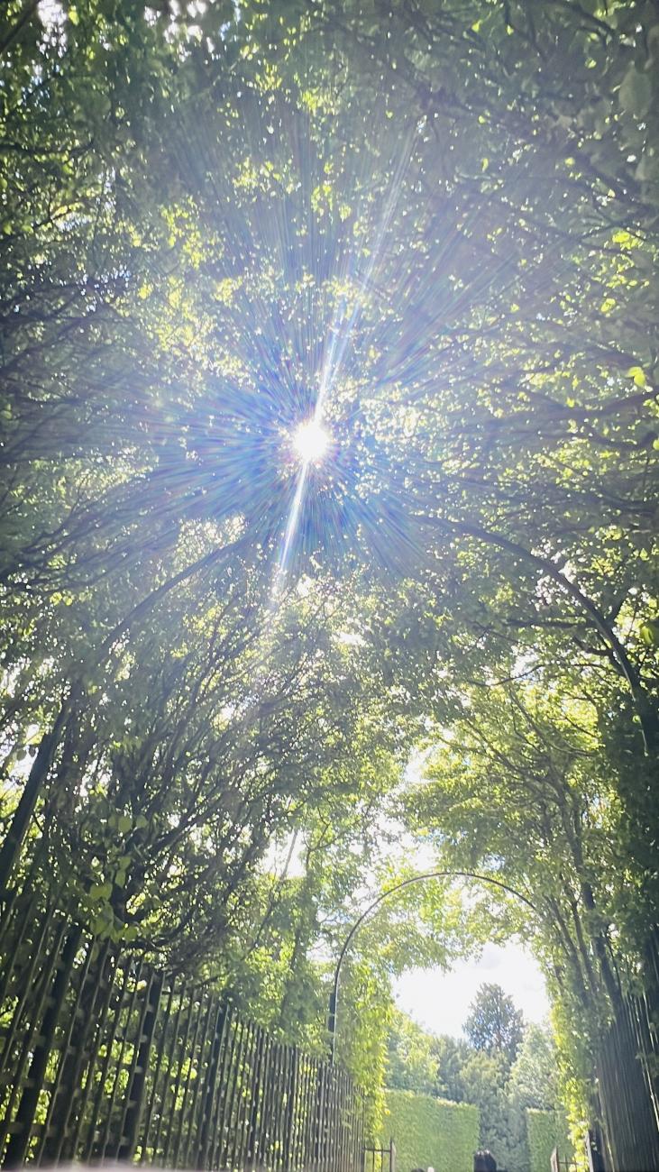 Sun Rays | Young Writers Project