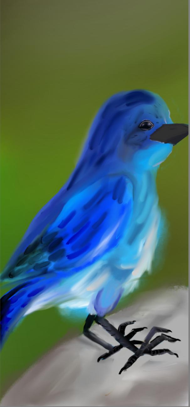 Digital Bluebird | Young Writers Project