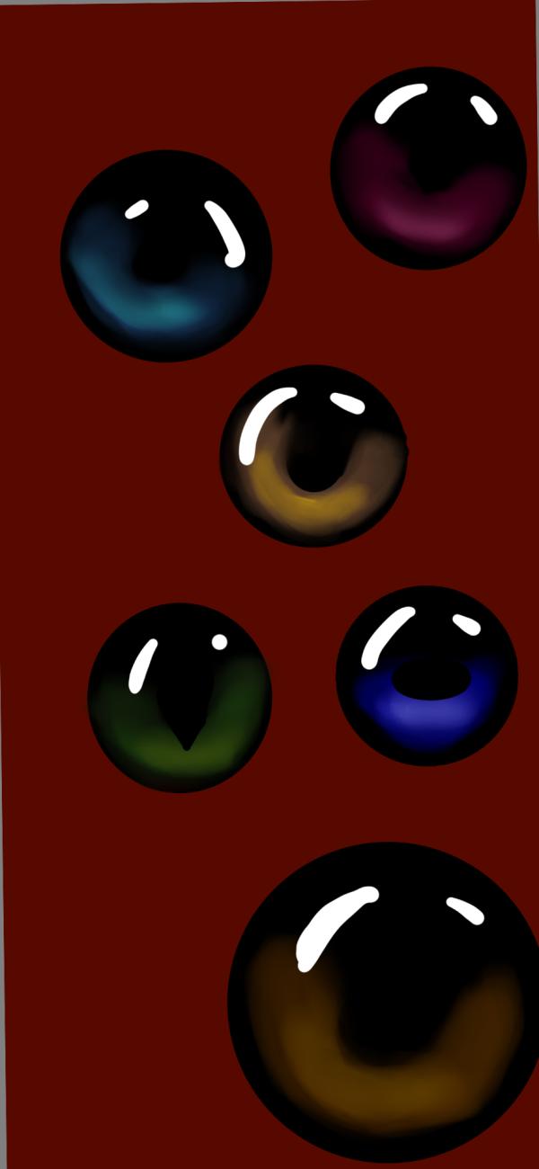 Animal eye | Young Writers Project