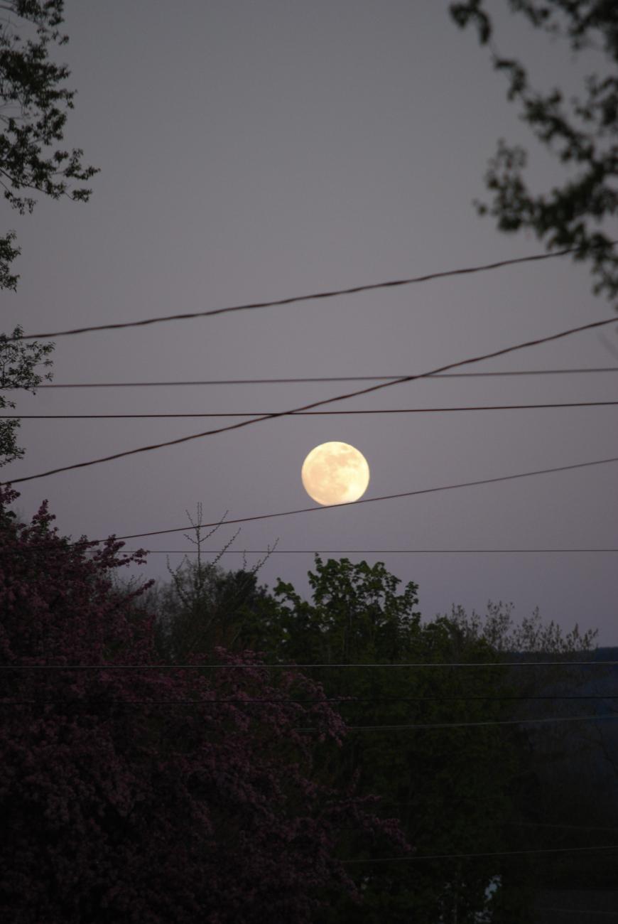 The Moon on a String | Young Writers Project