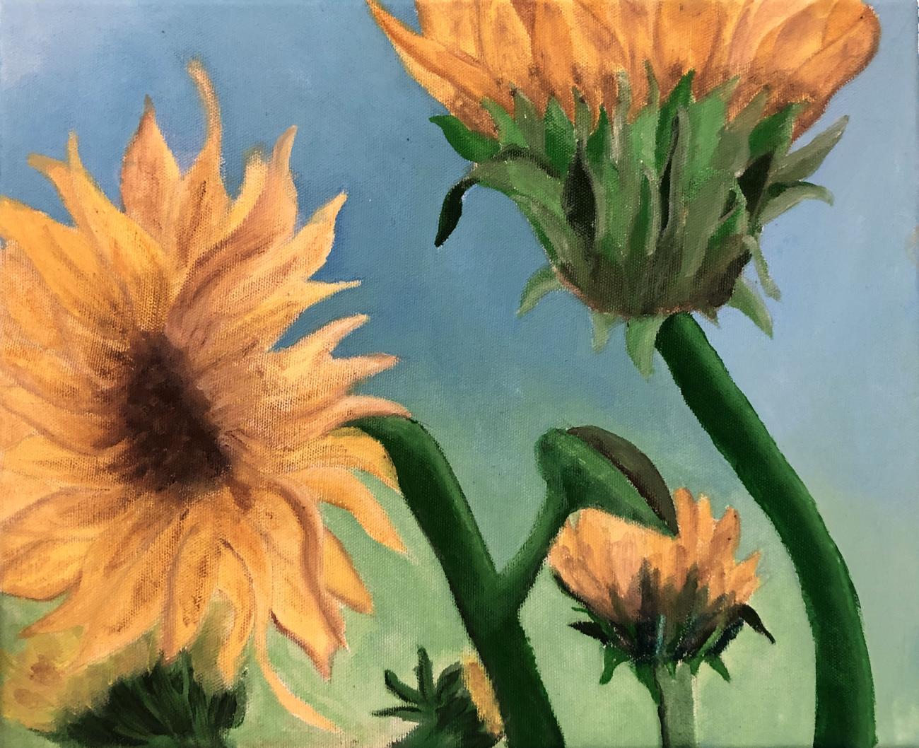 Sunflowers | Young Writers Project