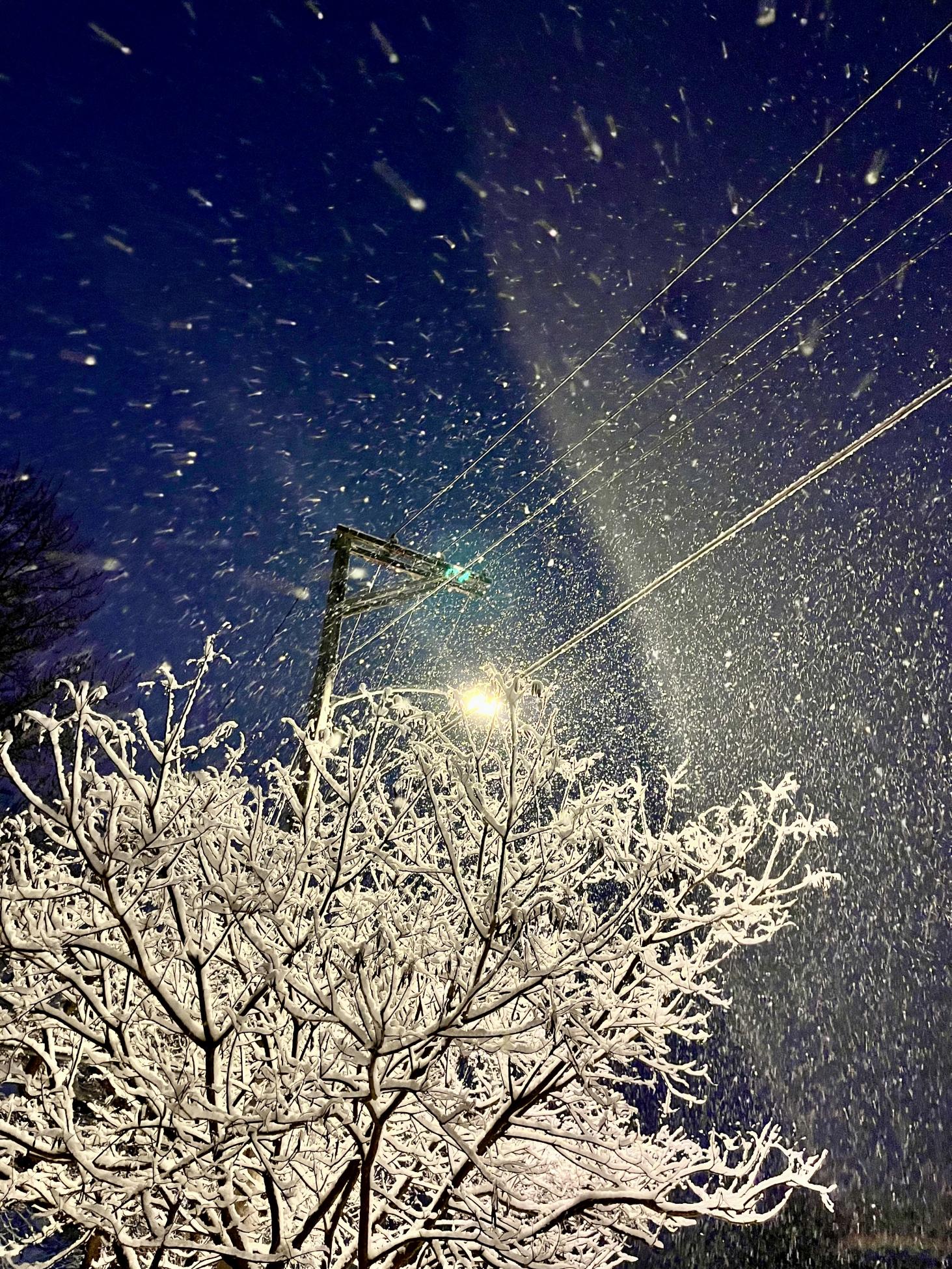 Snow fall | Young Writers Project