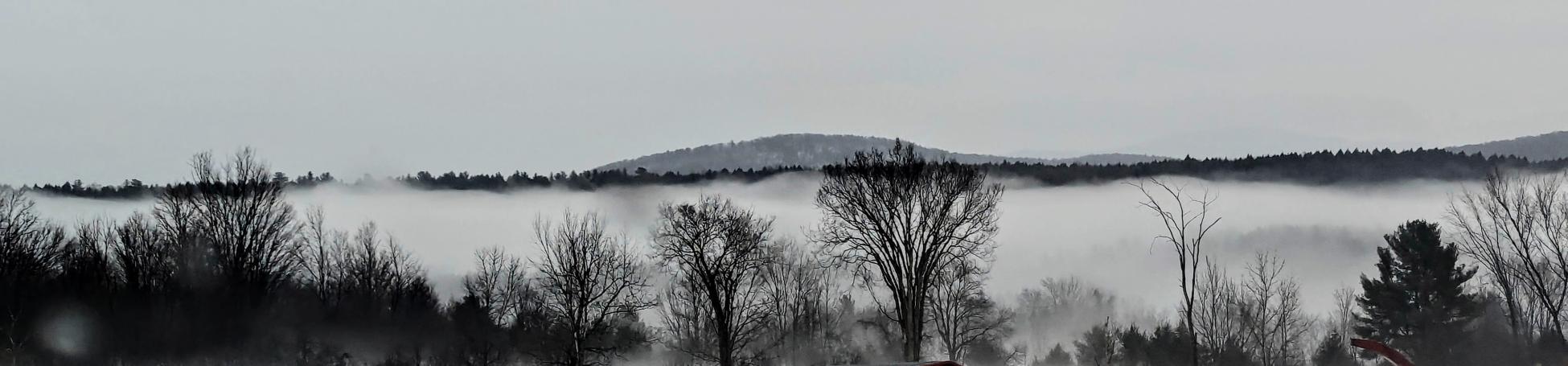 Fog | Young Writers Project