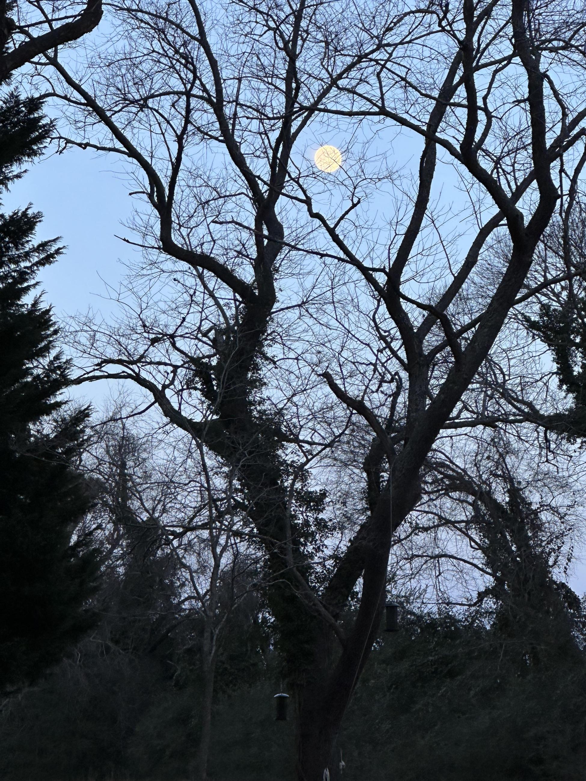 Swear by the Moon | Young Writers Project