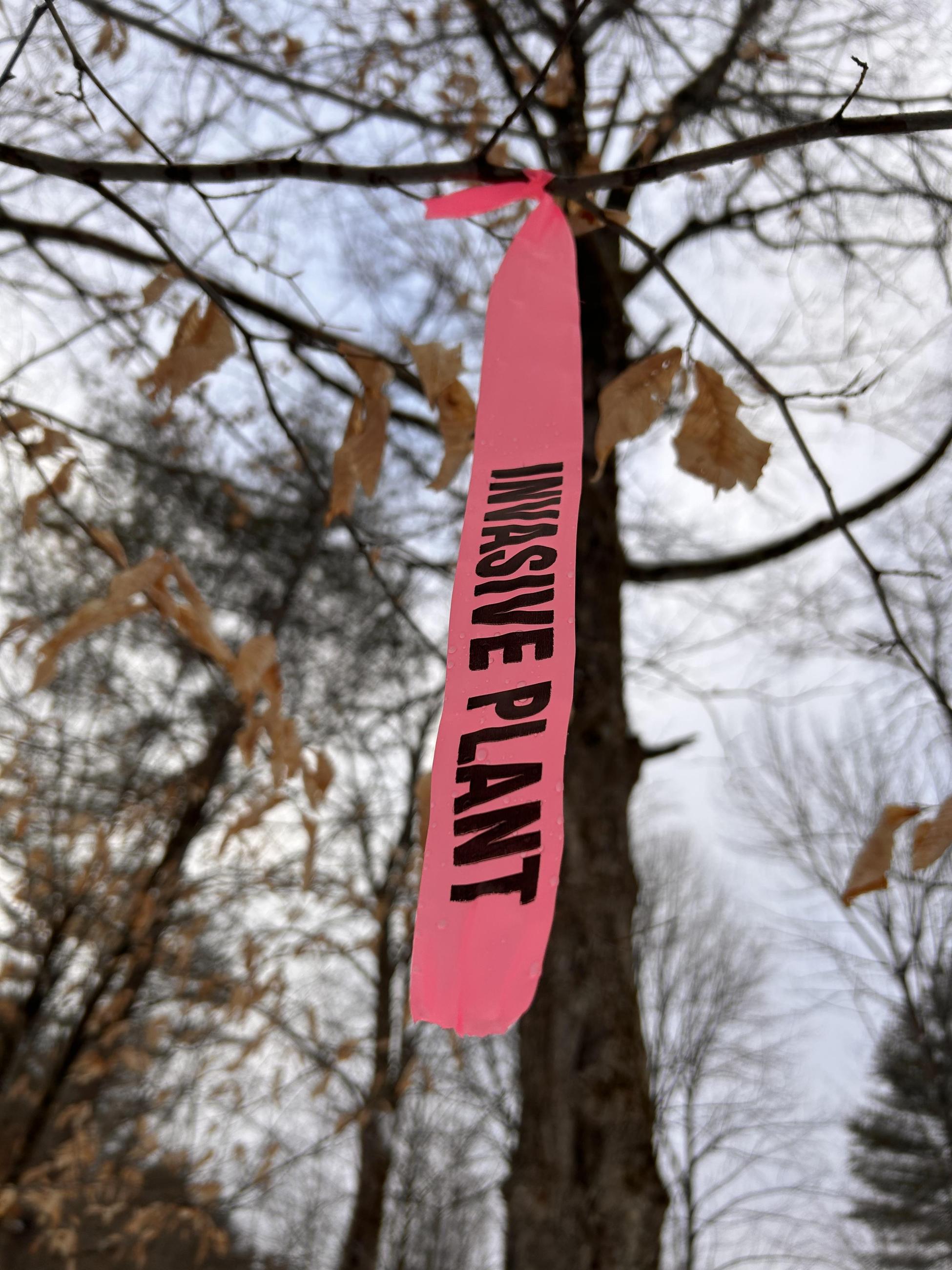 Labeled | Young Writers Project