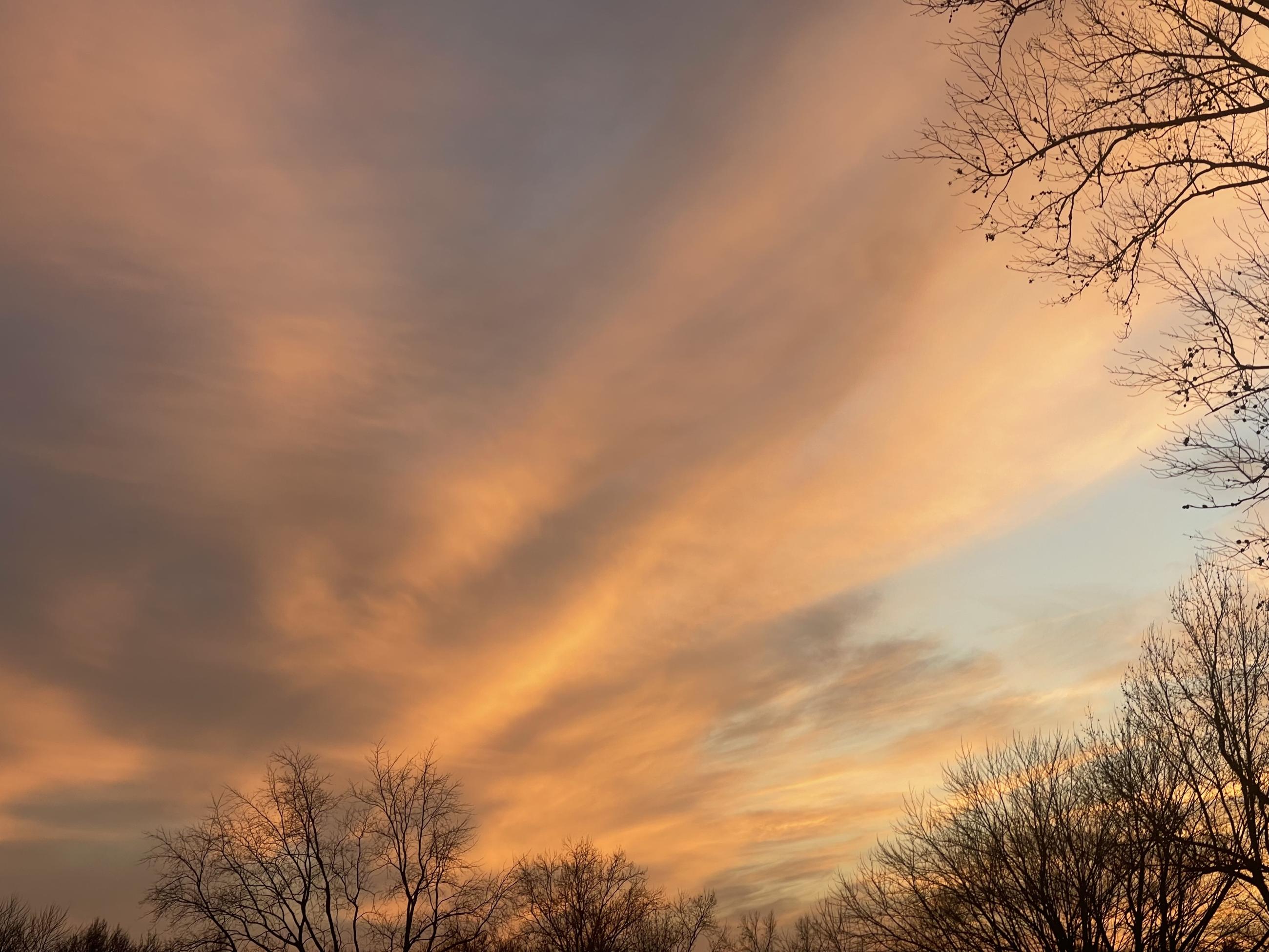 Blazing skies | Young Writers Project