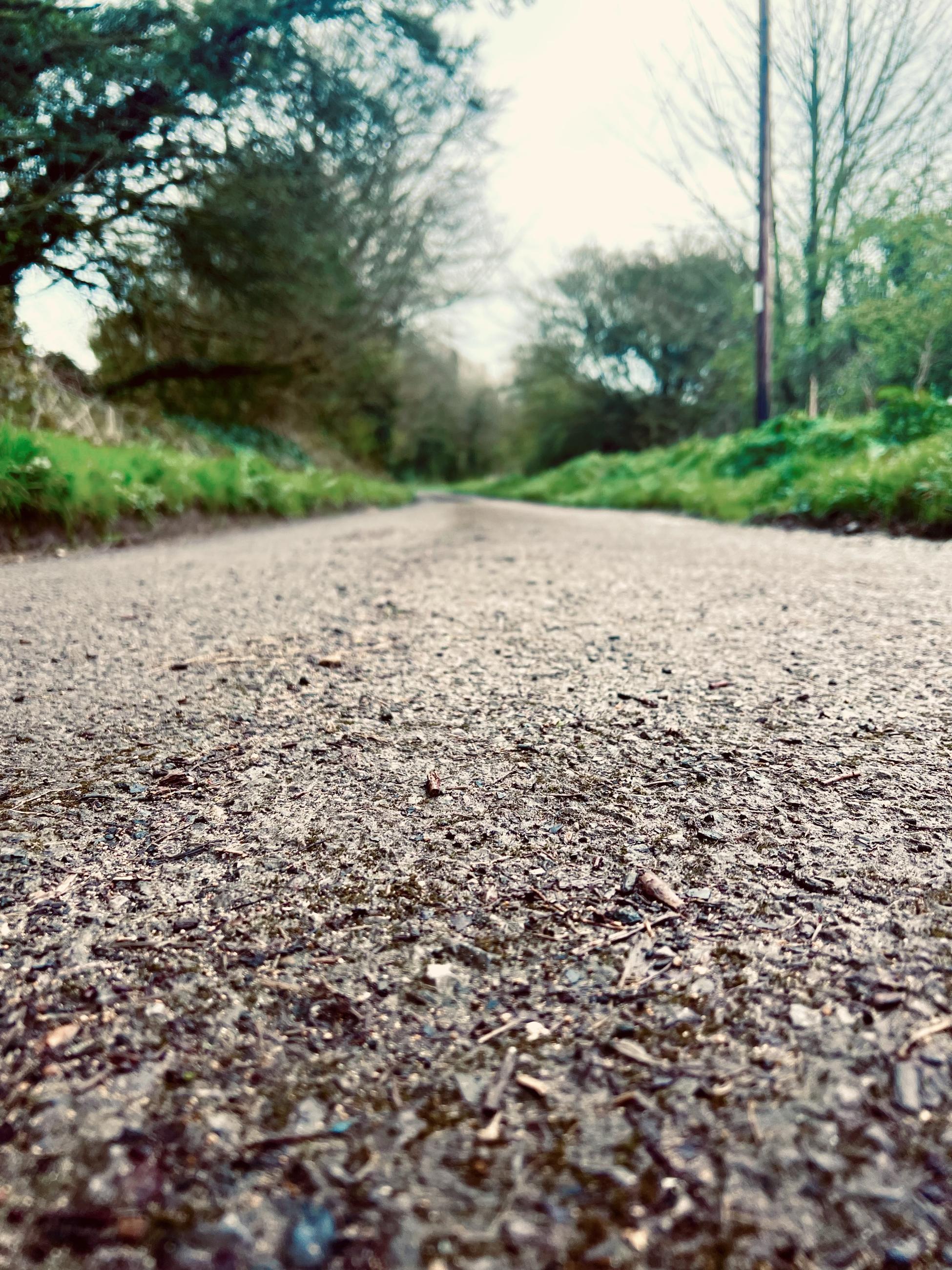 Down The Path | Young Writers Project