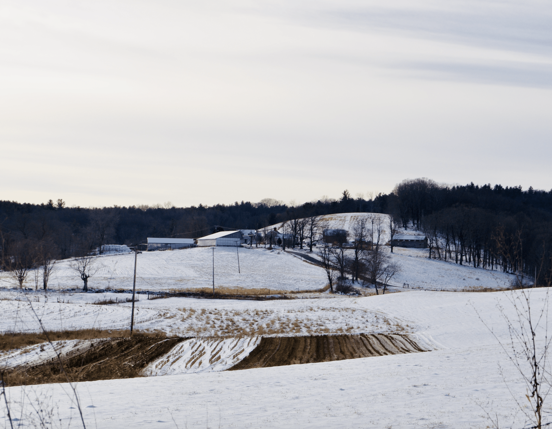 Farm Fields in winter | Young Writers Project