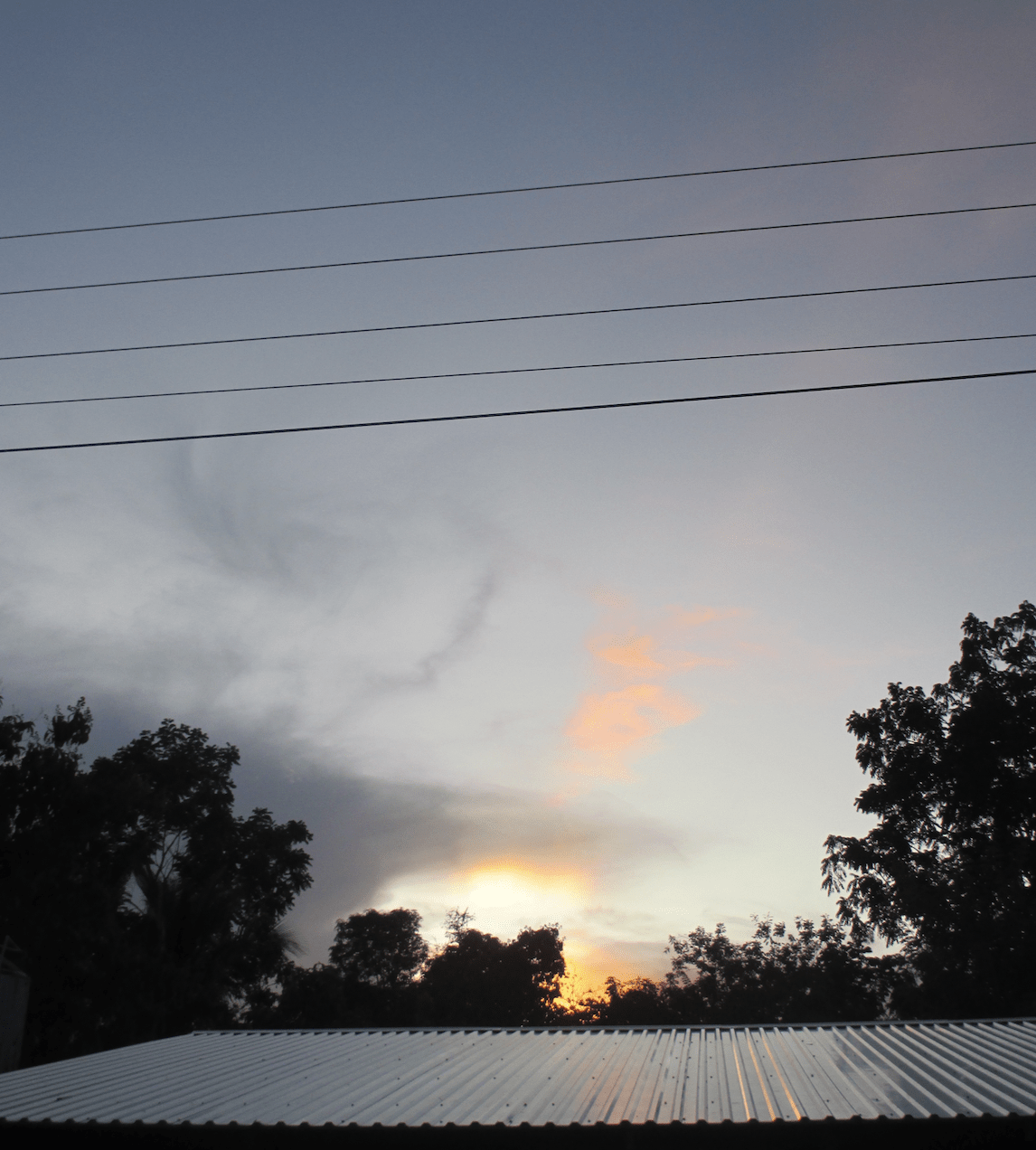 Jungle sunset | Young Writers Project