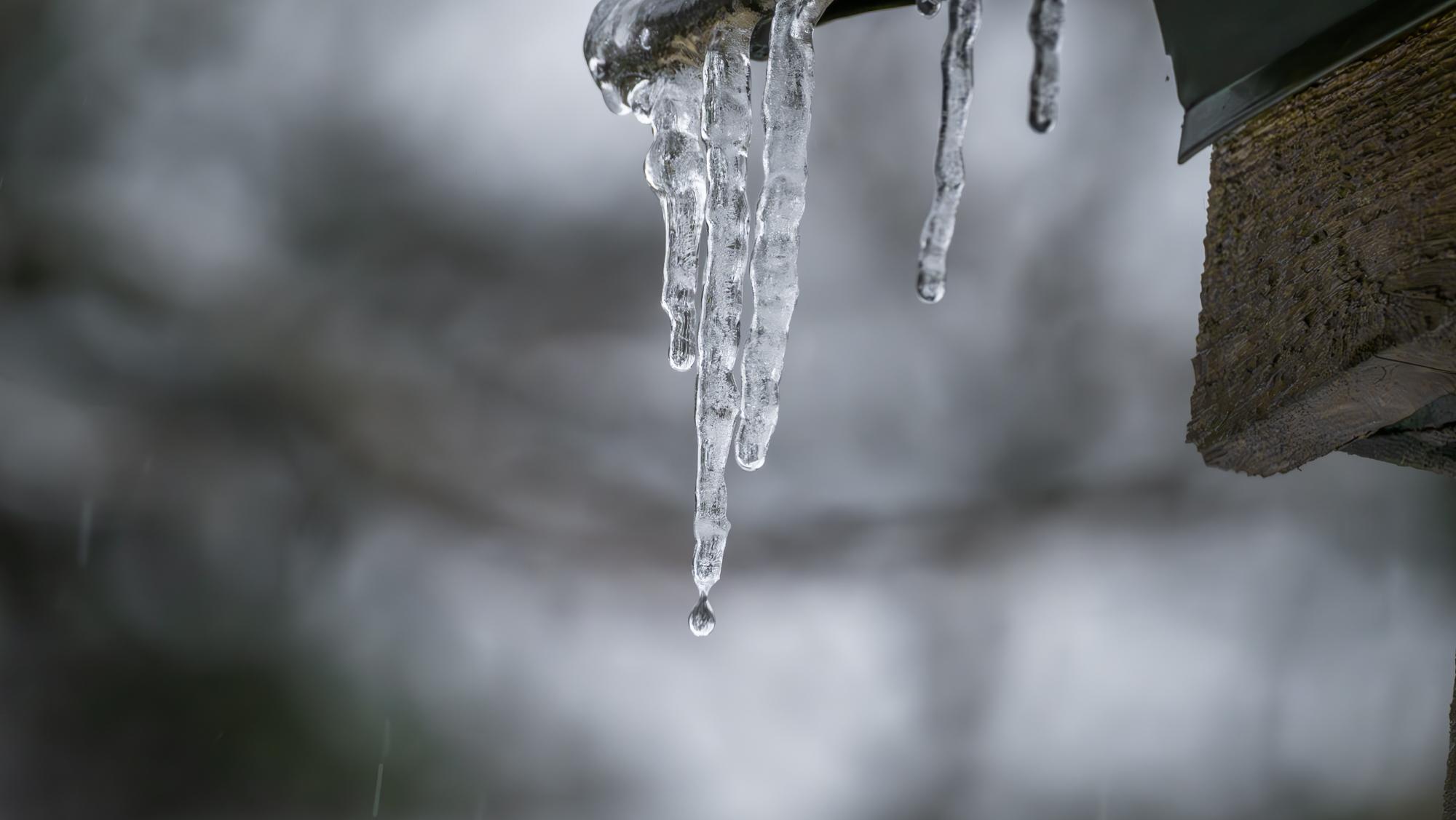 Frozen motion | Young Writers Project