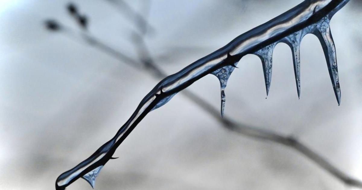 PAST CONTESTS: Winter 24 Visual Art Contest | Young Writers Project