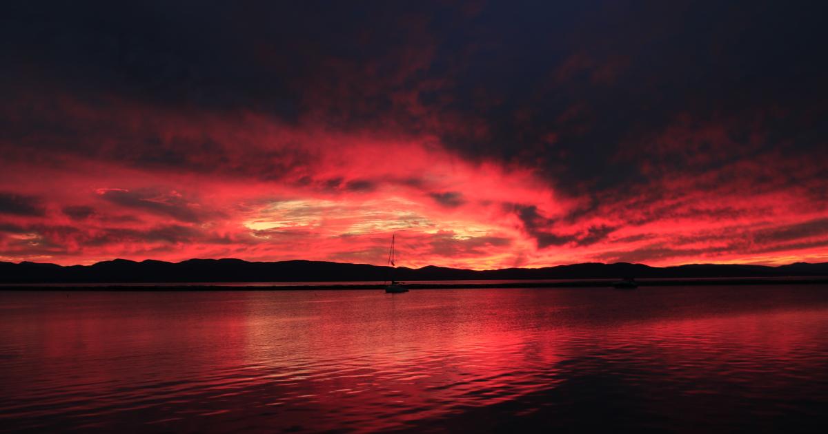 Photo Workshop: Camera Settings | Young Writers Project