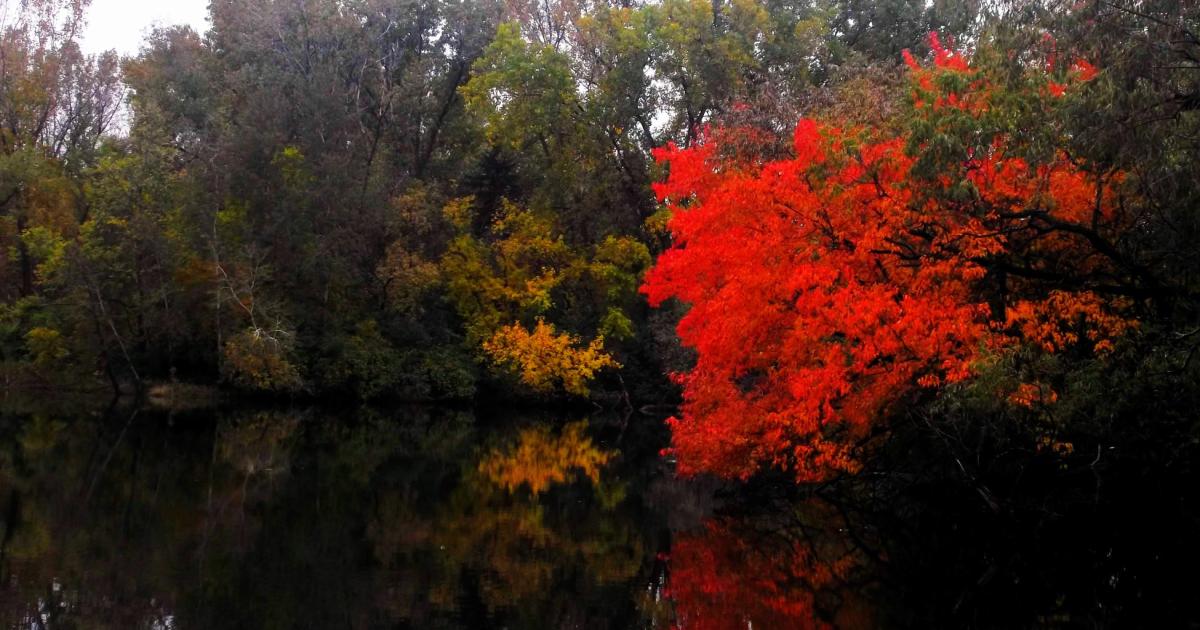 PAST CONTESTS: Autumn '24: Writing. See Award Winners and All ...