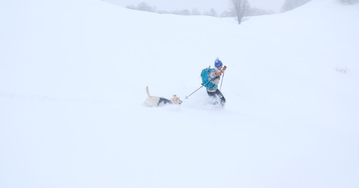 Snow Day | Young Writers Project