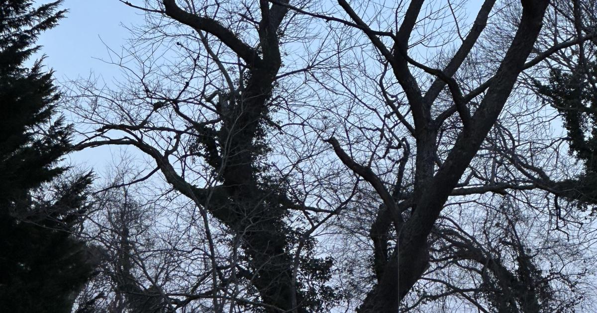 Swear by the Moon | Young Writers Project