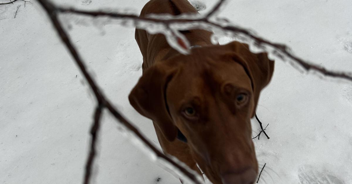 Icy Frame | Young Writers Project