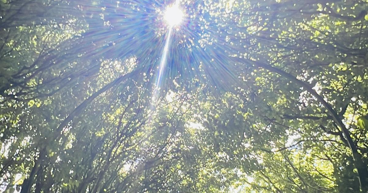 Sun Rays | Young Writers Project