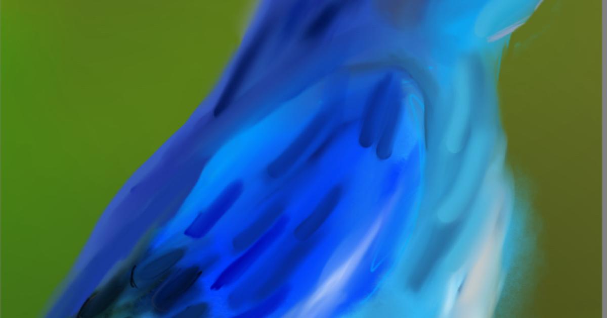 Digital Bluebird | Young Writers Project