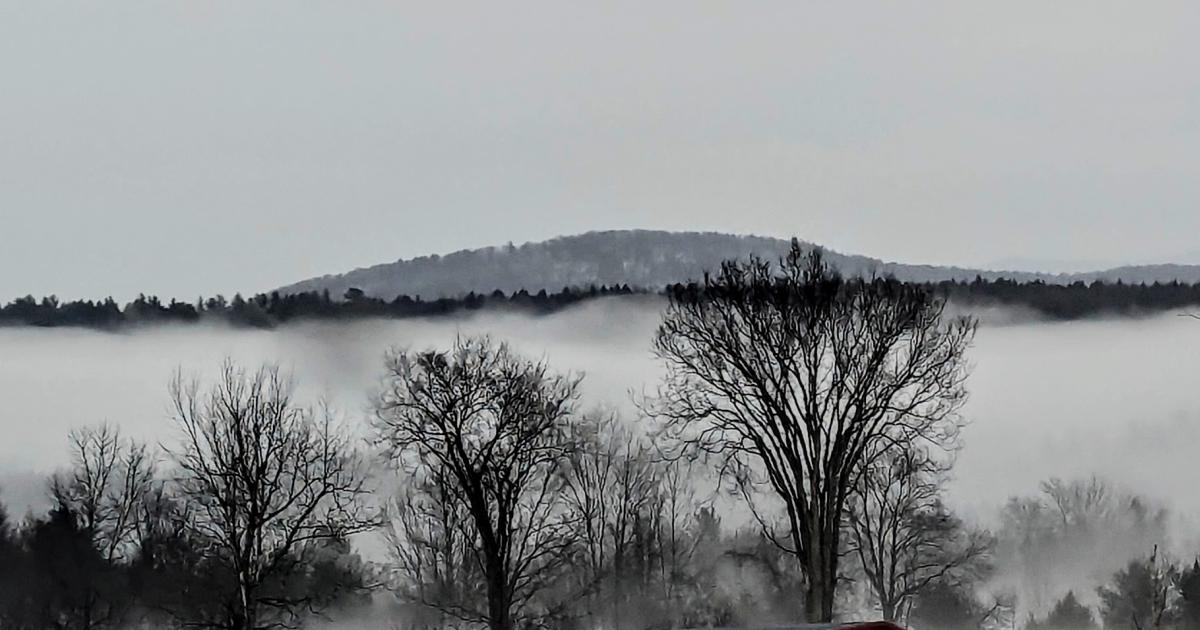 Fog | Young Writers Project