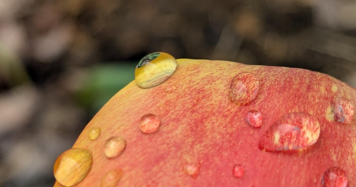 Water Droplets | Young Writers Project