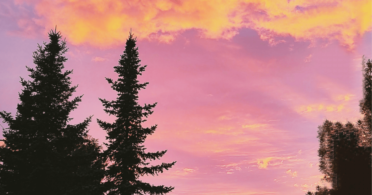 Rose gold Sunset | Young Writers Project