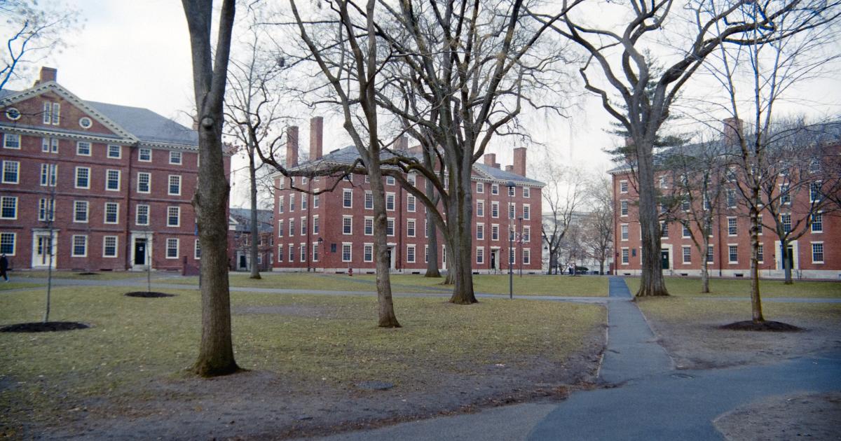 Harvard Yard | Young Writers Project