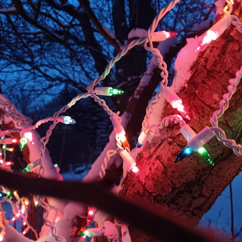 Dear, Venezuela/Greenland | Young Writers Project