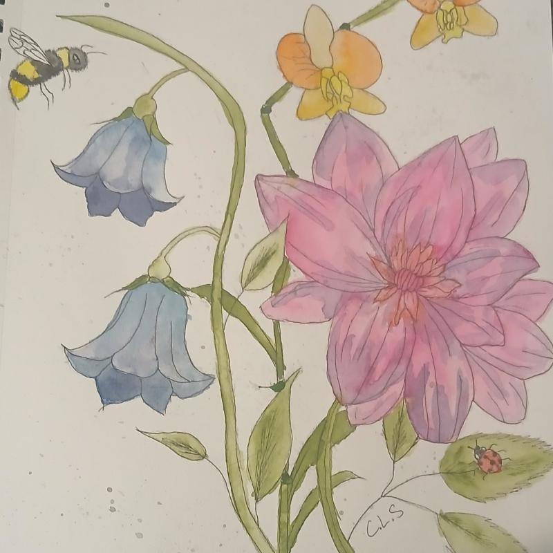 You would right? | Young Writers Project