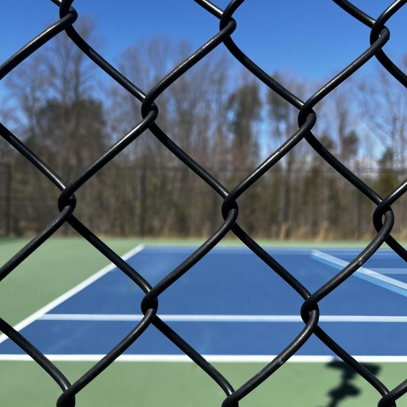 Visual Art | Young Writers Project