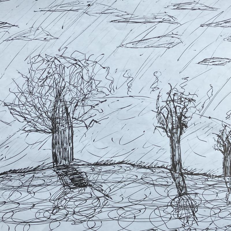 Visual Art | Young Writers Project