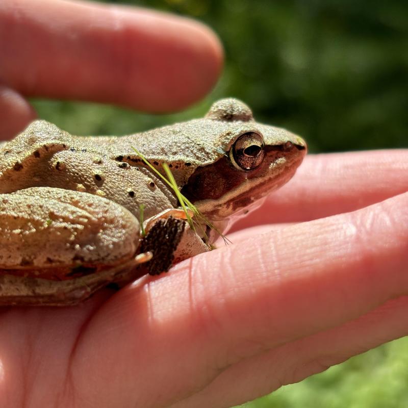 Visual Art | Young Writers Project