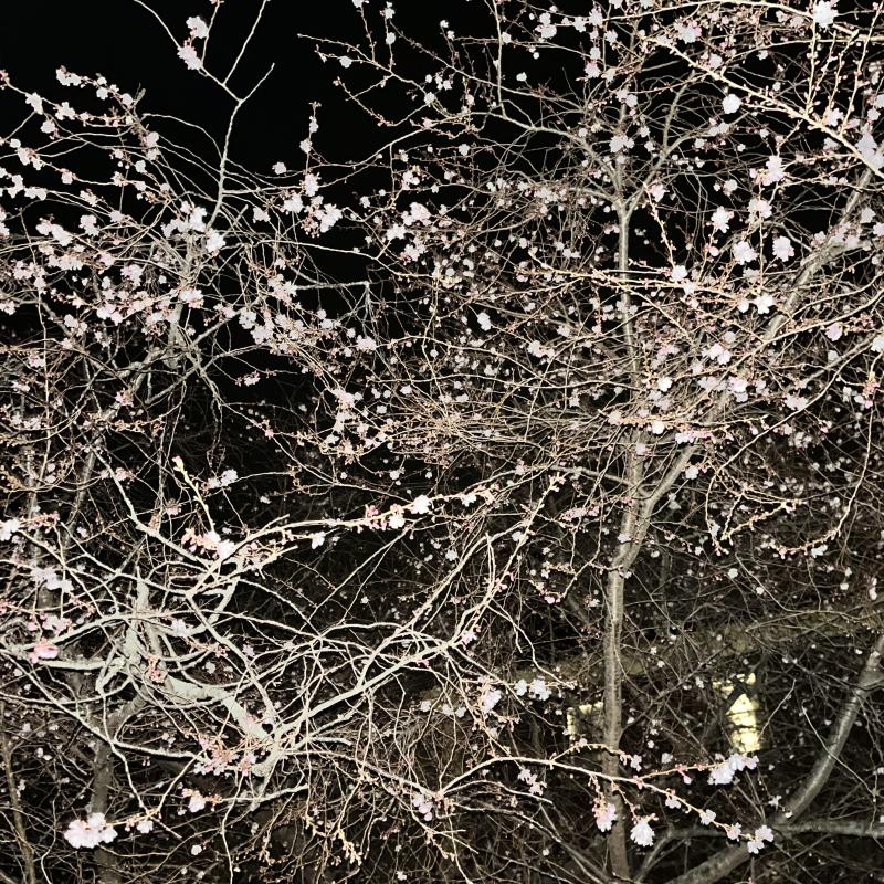 poetry clippings | Young Writers Project