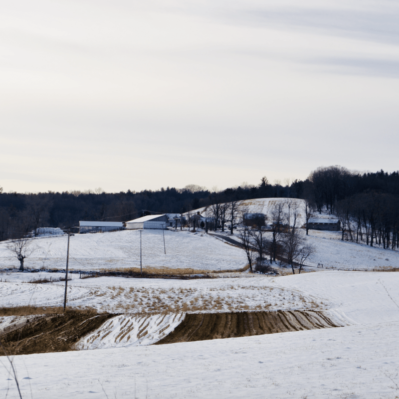 Black out poem | Young Writers Project