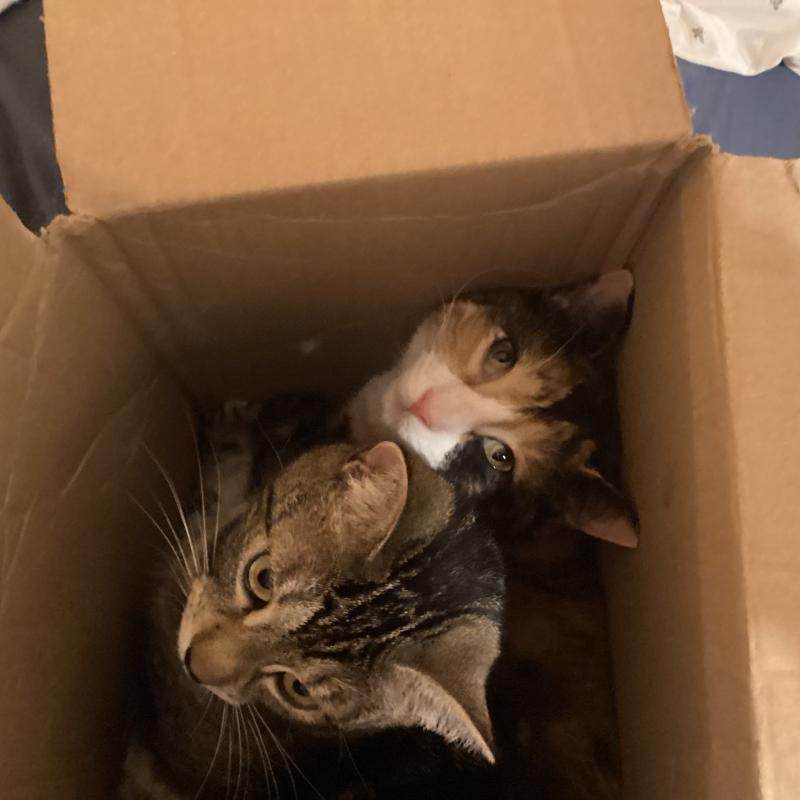 Visual Art | Young Writers Project